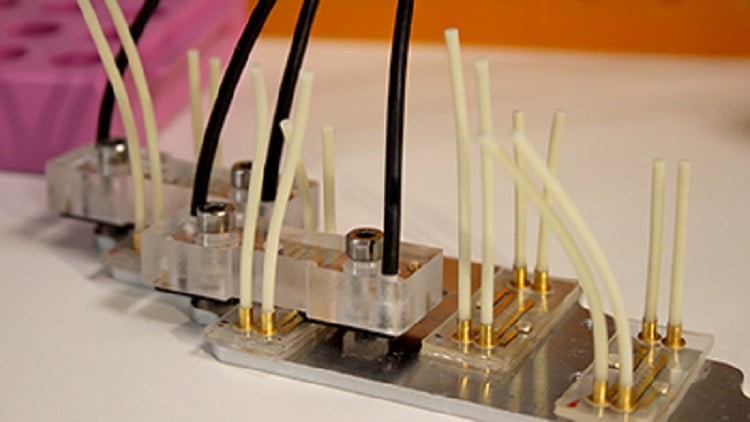 Drug testing with a blood-brain barrier on a chip | GlobalSpec