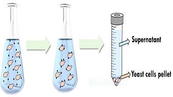 What does a pinpointed corona PD look like? | Engineering360