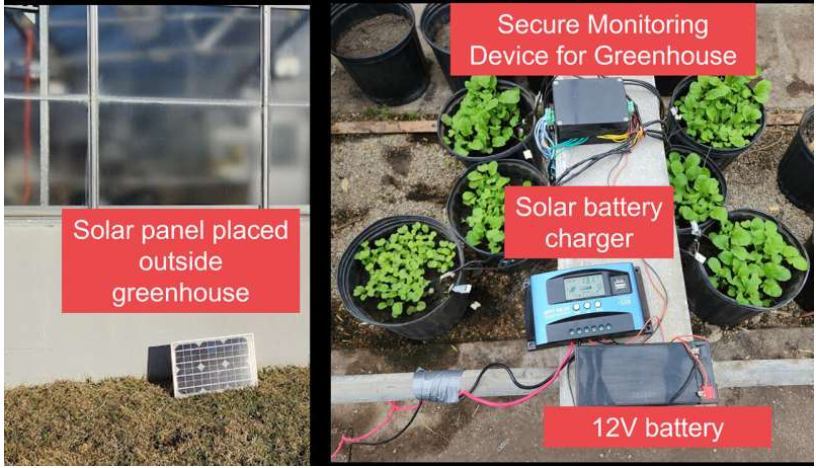 Smart crop monitoring system leverages IoT, AI to boost yields and cut ...