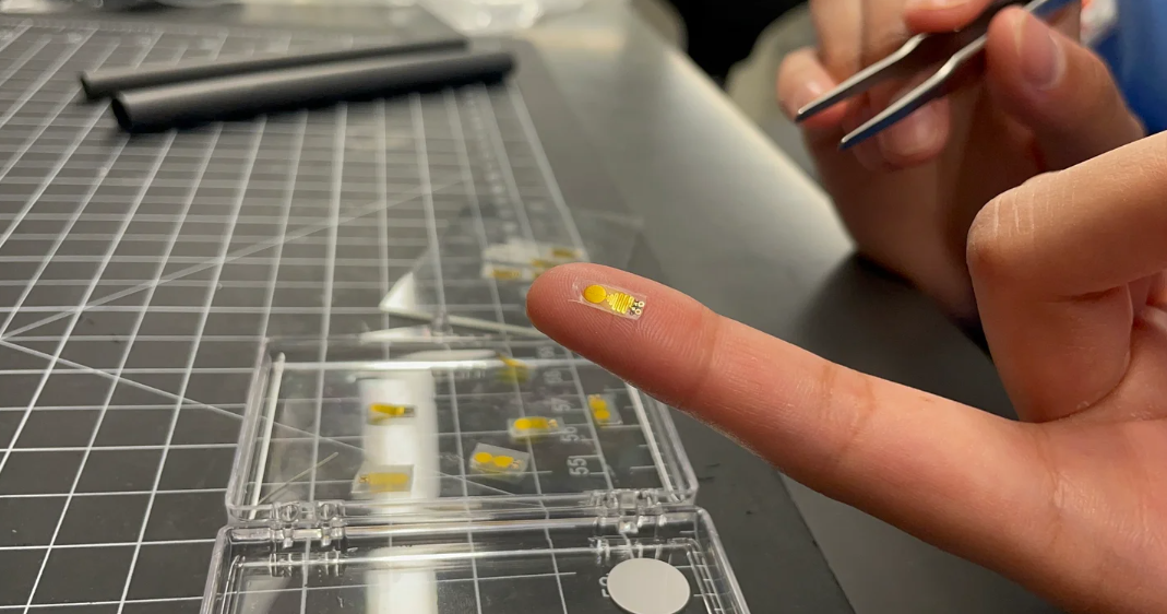 A Northwestern sensor detects organ transplant rejection faster ...