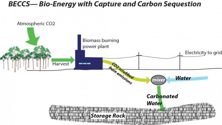 Carbon-negative energy systems based on biomass | GlobalSpec