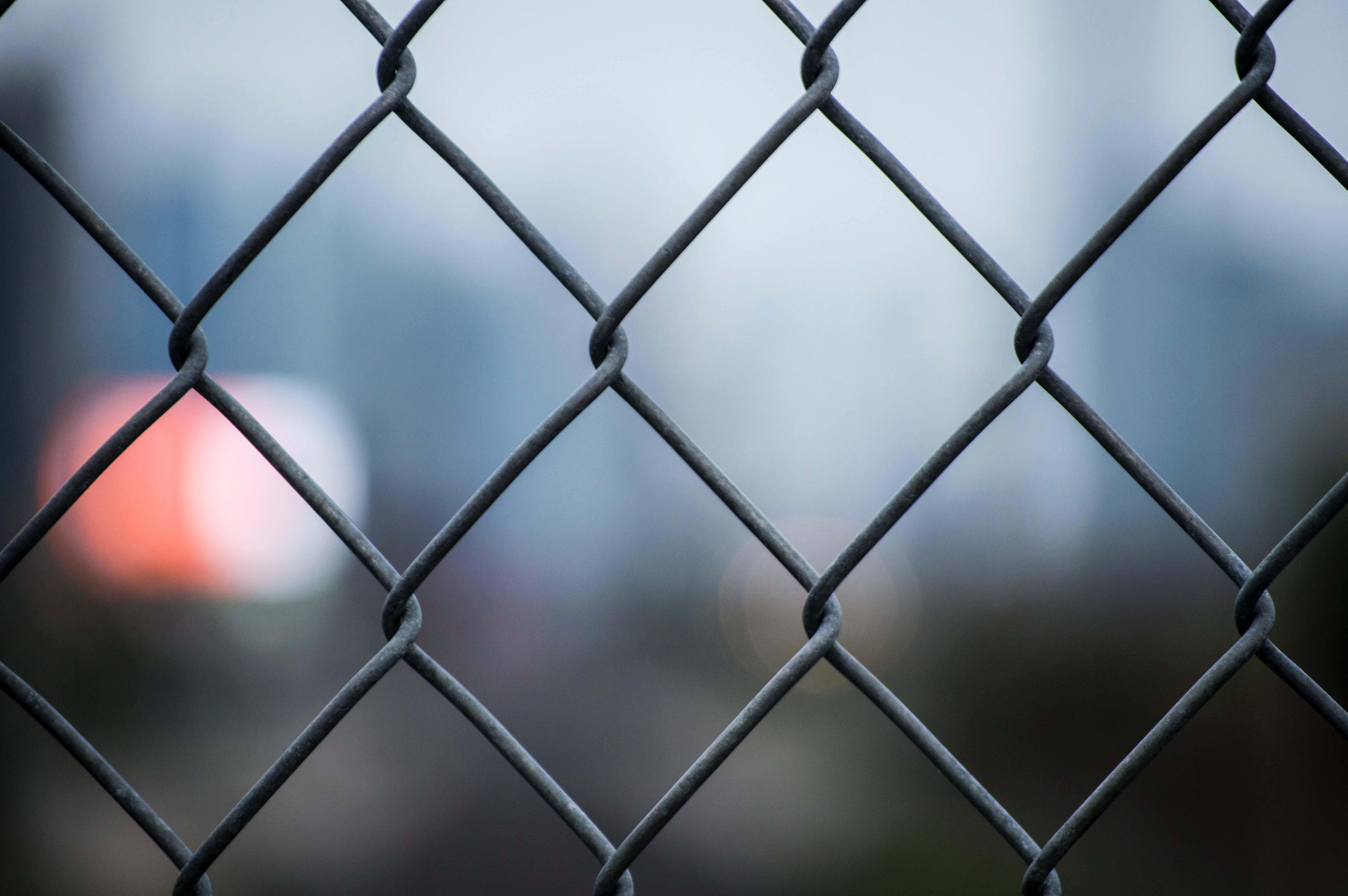 Fences are understudied despite ecological impacts | GlobalSpec