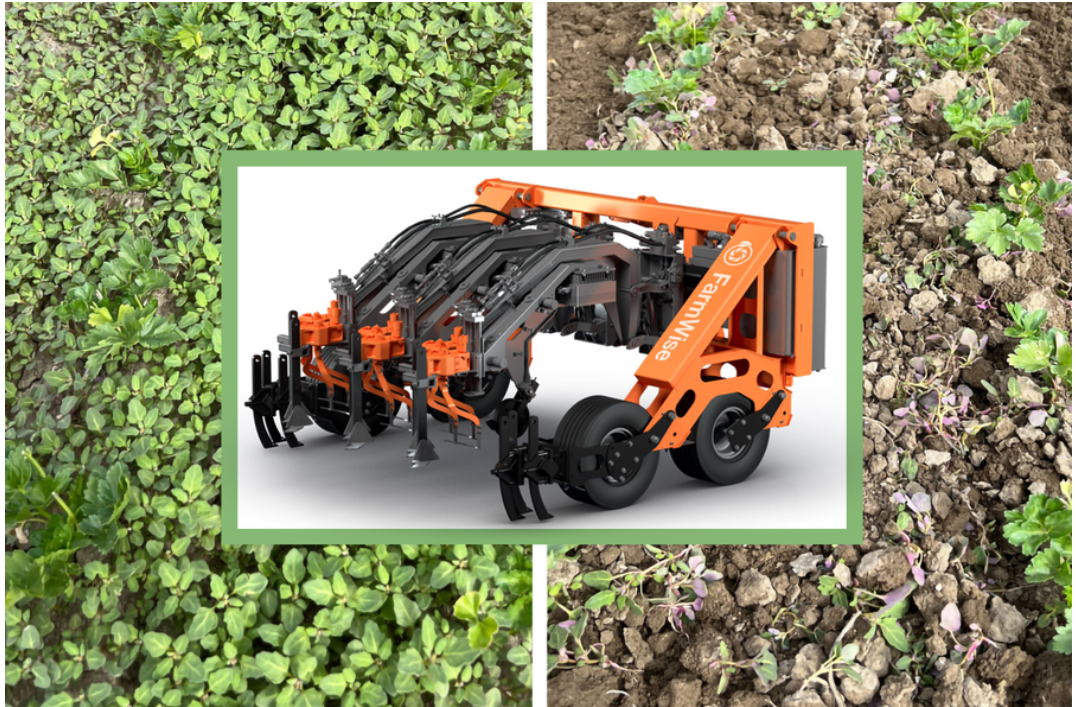 These robots automate weeding | GlobalSpec