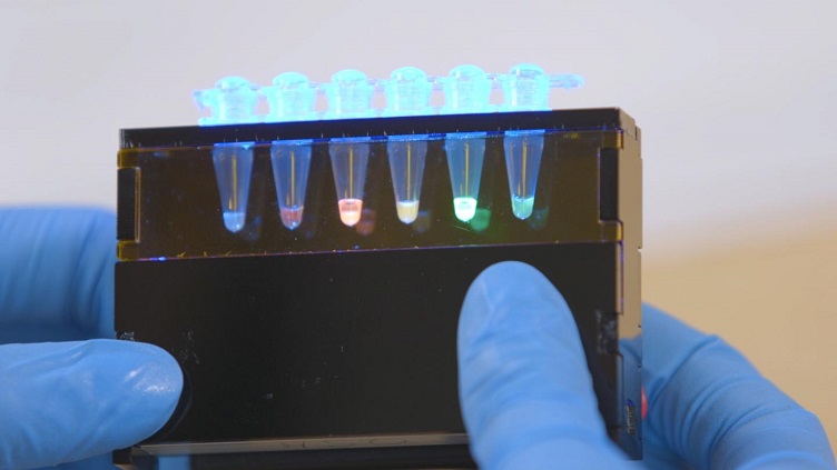 New STEAM Kit Teaches Children Synthetic Biology | GlobalSpec