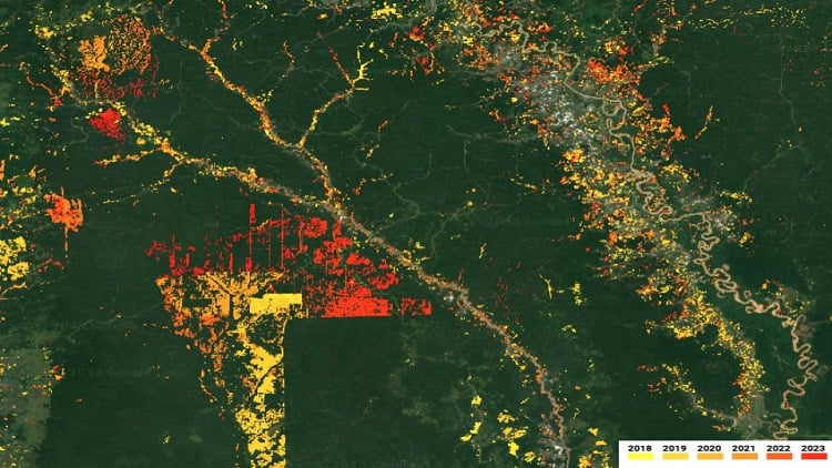 Radar sees the forest through the trees | GlobalSpec