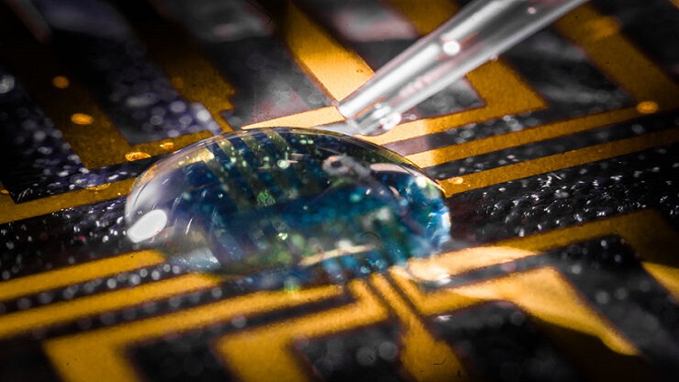 Electrodes evolve inside living tissue | GlobalSpec