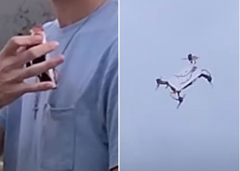 Hand-tossed foldable drone that fits in a pocket created by US students ...