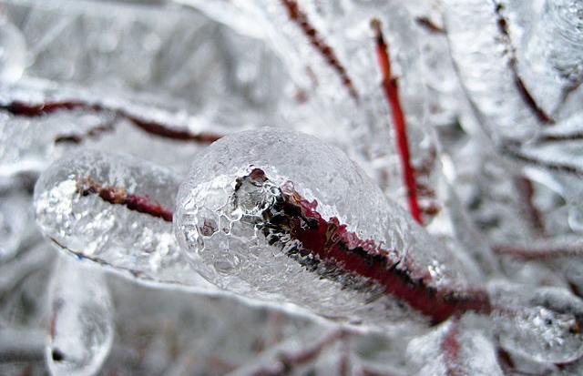 Devastating Texas freeze of 2021 brings business survival solutions ...