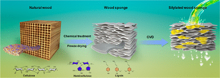 Watch How a Wood Sponge Separates Oil and Water | GlobalSpec