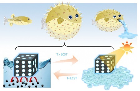 Watch how a solar sponge soaks up water impurities | GlobalSpec