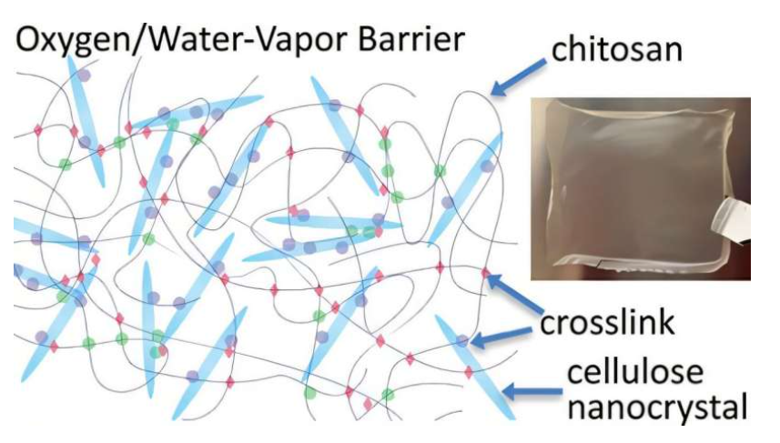 Bio-based film achieves plastic-level resistance to moisture, oxygen ...