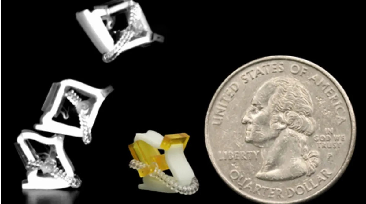 Team develops long-jumping insect-inspired robots | GlobalSpec