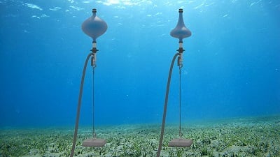 Watch: Low cost inflatable pump designed to harness wave energy ...