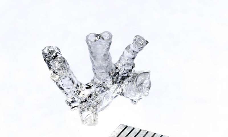 Georgia Tech researchers create a vanishing polymer for military ...