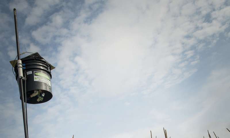 Professor creates a 'laser scarecrow' for warding off birds | GlobalSpec