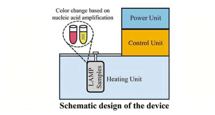 New portable tool enables fast pathogen detection in real-world ...