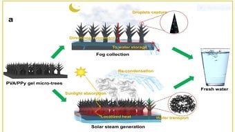 Hypersaline water freshens up with new desalination nanocoating ...