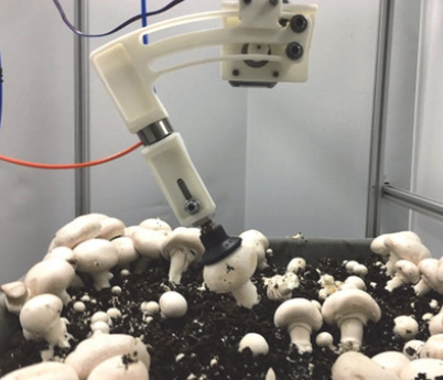 Robot picks mushrooms, cuts stems like humans | GlobalSpec