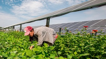 Wearable solar tech charges personal electronics | Engineering360