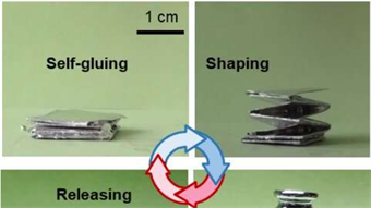 Sames Kremlin and iNTEC Sames Kremlin become Sames to strengthen its ...