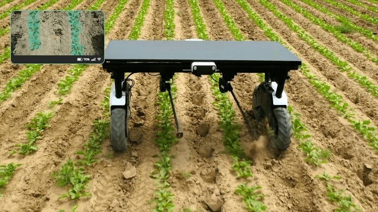 Watch weeding by AI- and solar-powered agricultural robots | GlobalSpec