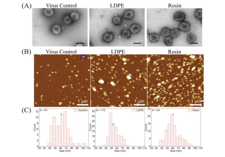 Study: Resin destroys coronavirus on plastic surfaces | GlobalSpec