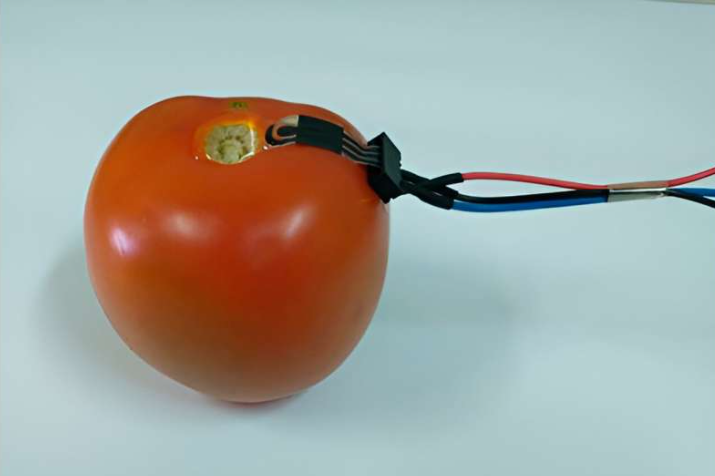 A plant-wearable monitors pesticide levels on surfaces of fruit ...