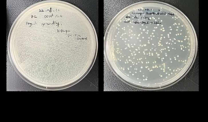 New nanocoating technology enhances the antiviral activity of surfaces ...