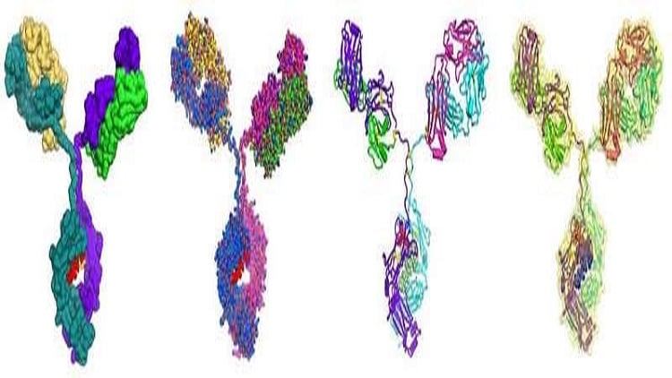 NIST tests biopharmaceutical quality control method | GlobalSpec