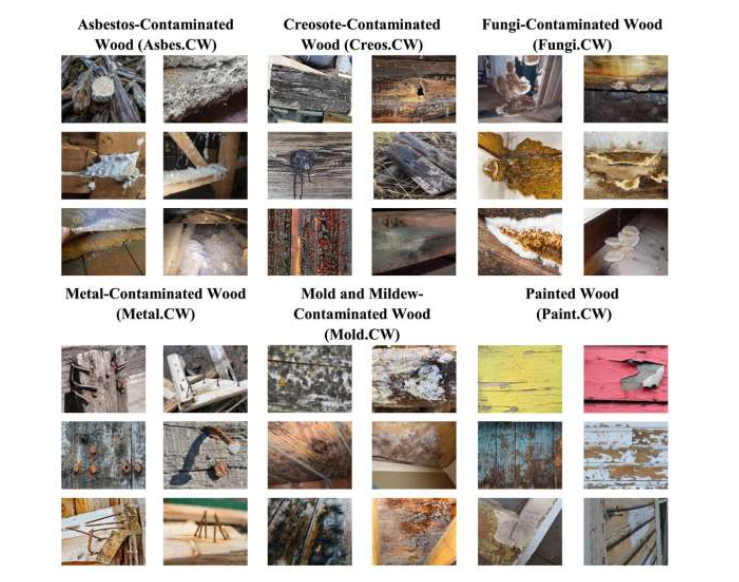 Smart detection: AI flags contaminated wood used in construction ...
