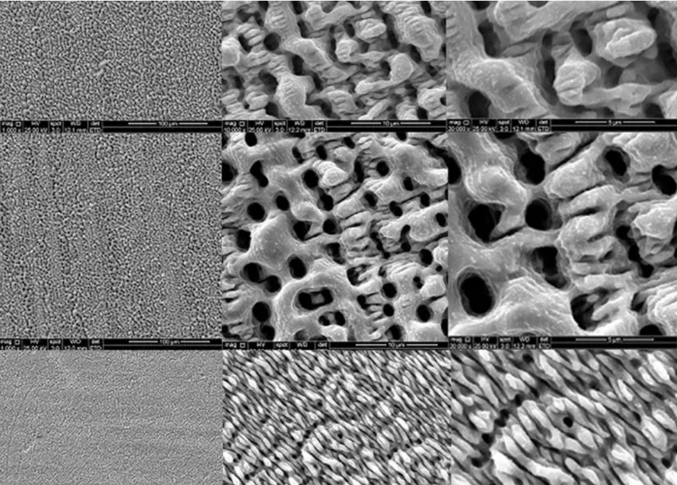 Shark skin-inspired tech creates bacteria-resistant food surfaces ...
