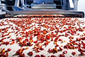 Improved Bulk Sorting Process Increases Accuracy | Engineering360