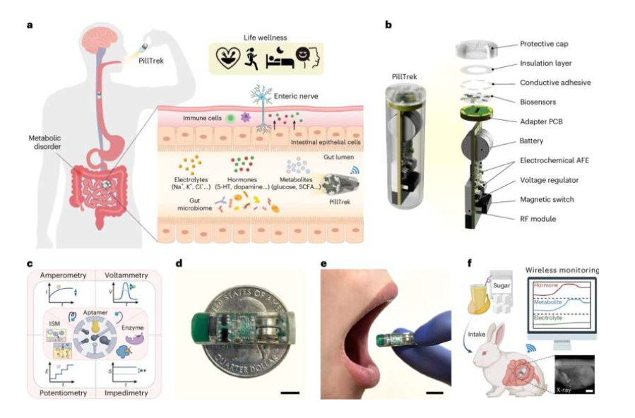 New ‘smart capsule’ monitors GI tract health from the inside out ...